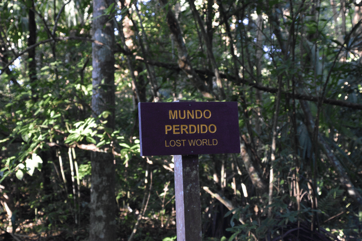 世界一周 day274【マヤ文明最大の都市遺跡 世界遺産ティカル国立公園へ🇬🇹】~世界一周新婚旅行~｜TK