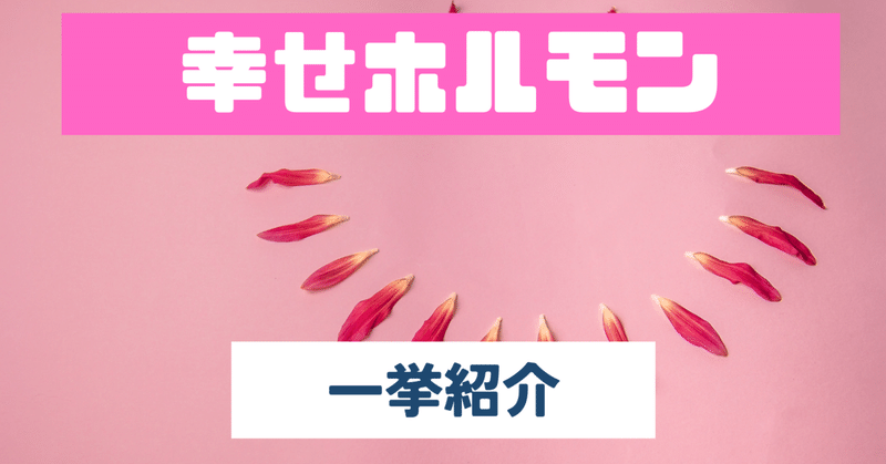 NPO法人SAYi（セイアイ）｜note