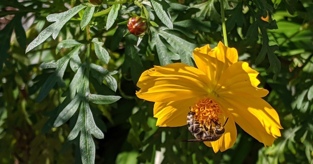 2019 読んだマンガ｜kyokota（きょこた）｜note