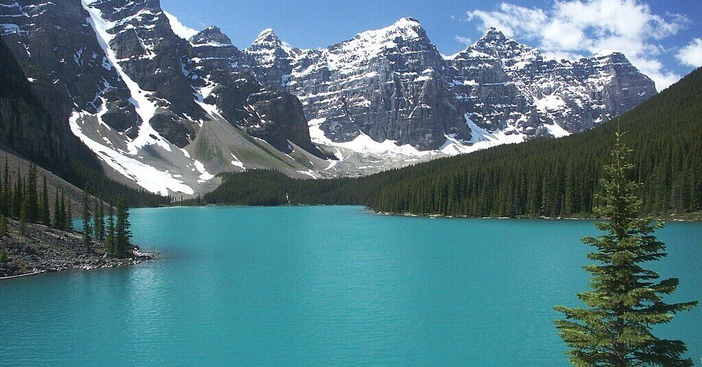 Asuka Hashimoto｜note