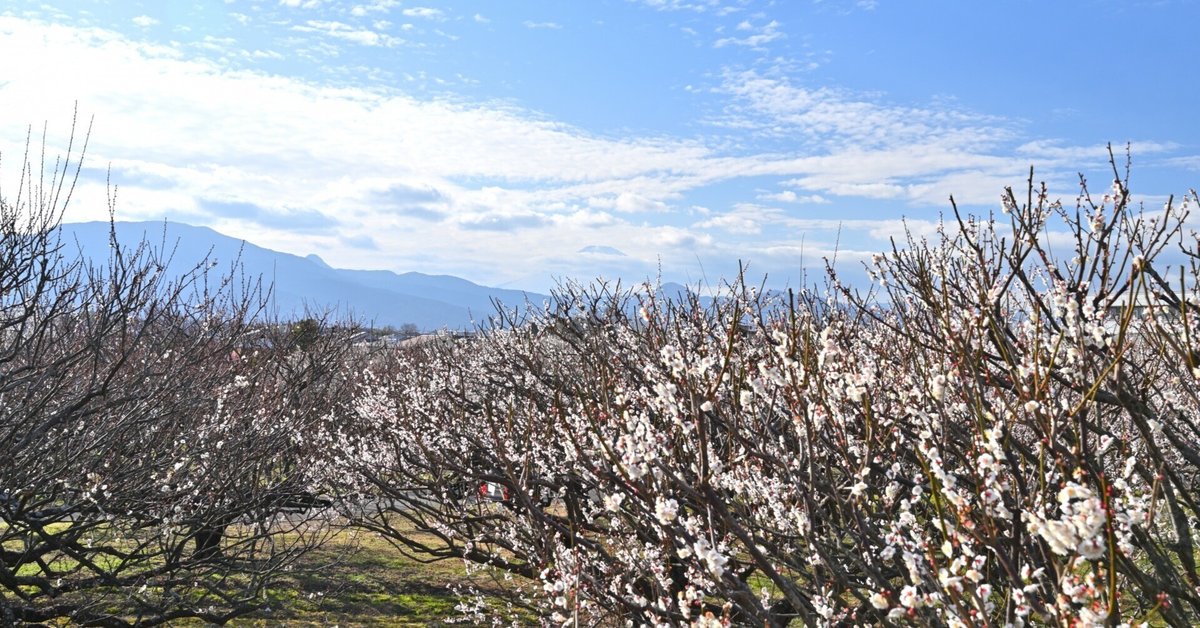 NetApp INSIGHT Xtra Tokyo に出展します｜Takayuki Nakayama