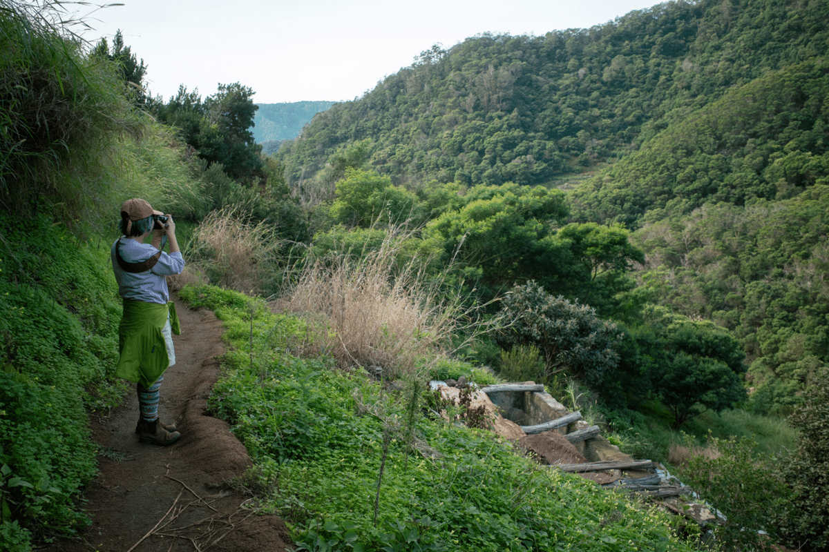 ポルトガル・マデイラ島編/ハイキングコース②｜オランダで暮らす人々