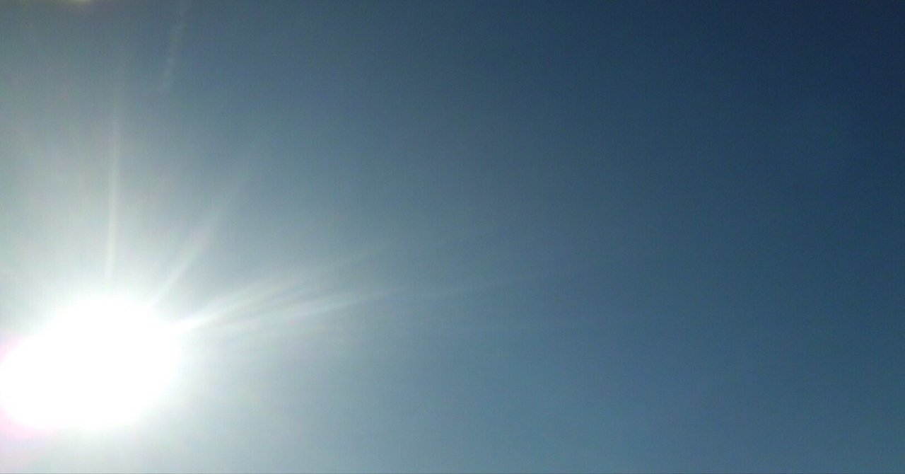 鳥Aves note II-xxxviii｜薄井 灌 Kan Usui