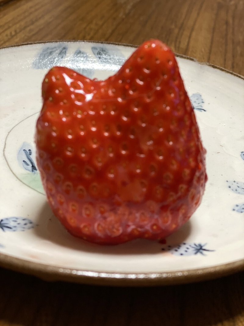 あかね空の散歩道｜yas｜note