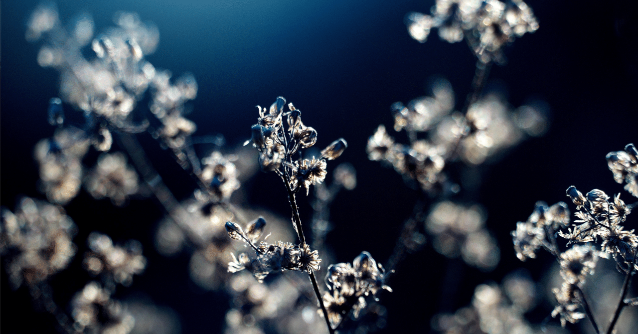 はじめます｜inoue