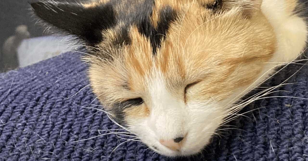 「夢」を託す！～交響曲よ永遠なれ～｜Moosan