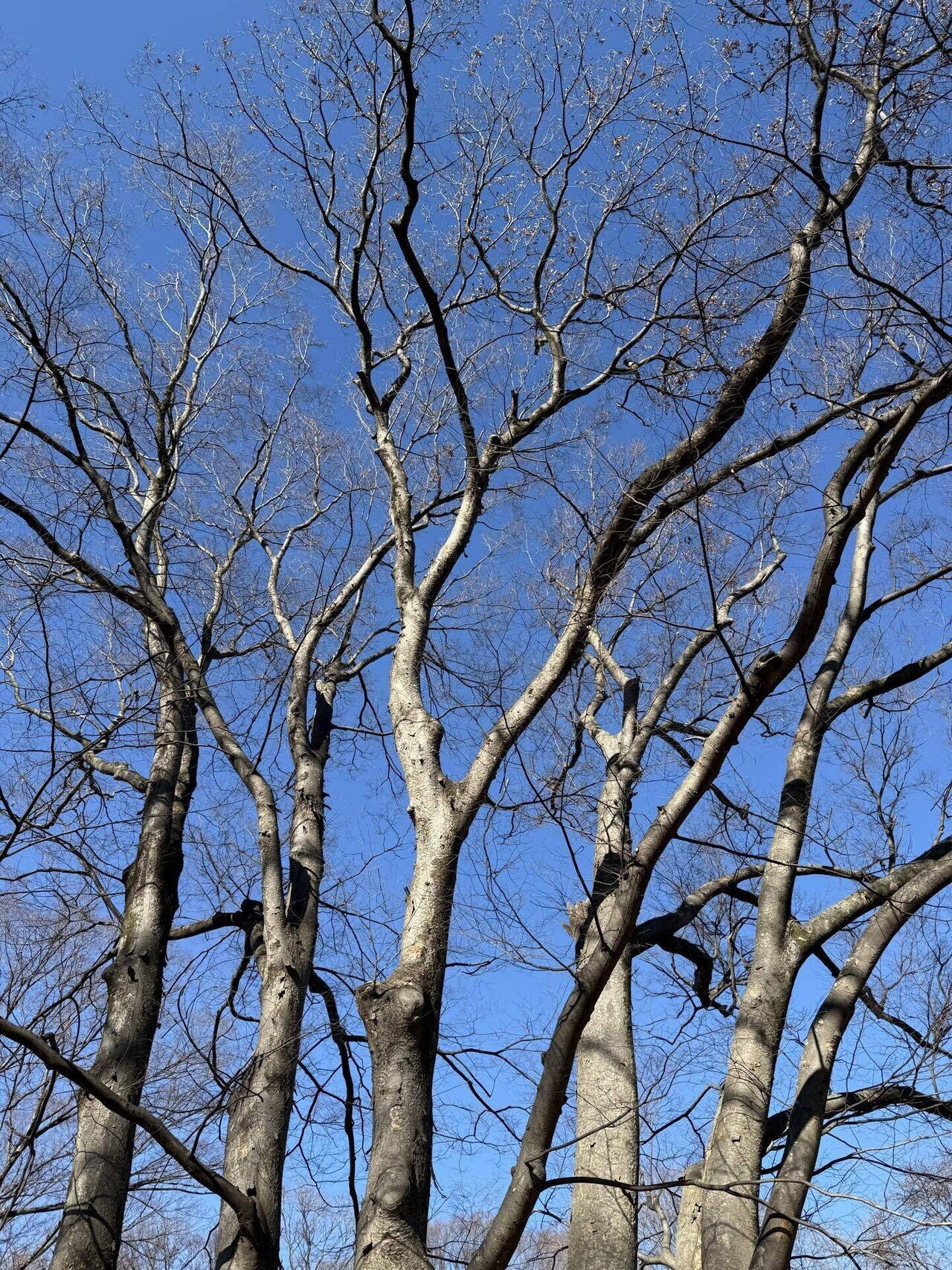 たくさんの学びがあった1日でした。感謝してます。｜Yuya Kikuchi