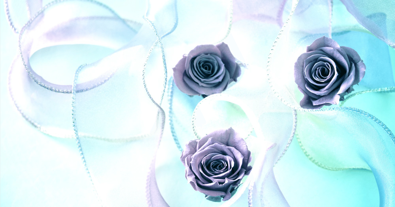 愛されることの奇跡｜konoha