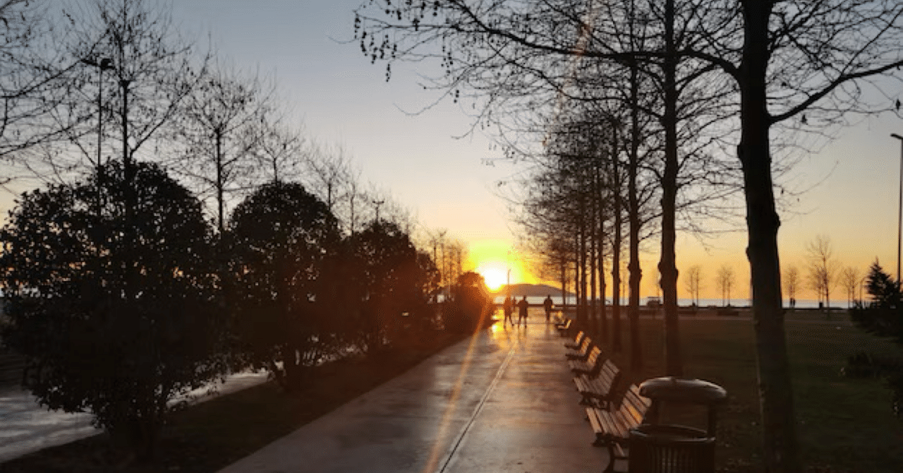 ＃8 理学療法士の中国リハビリ記録【震える少女。過酷な現実】｜JUNYA MORI