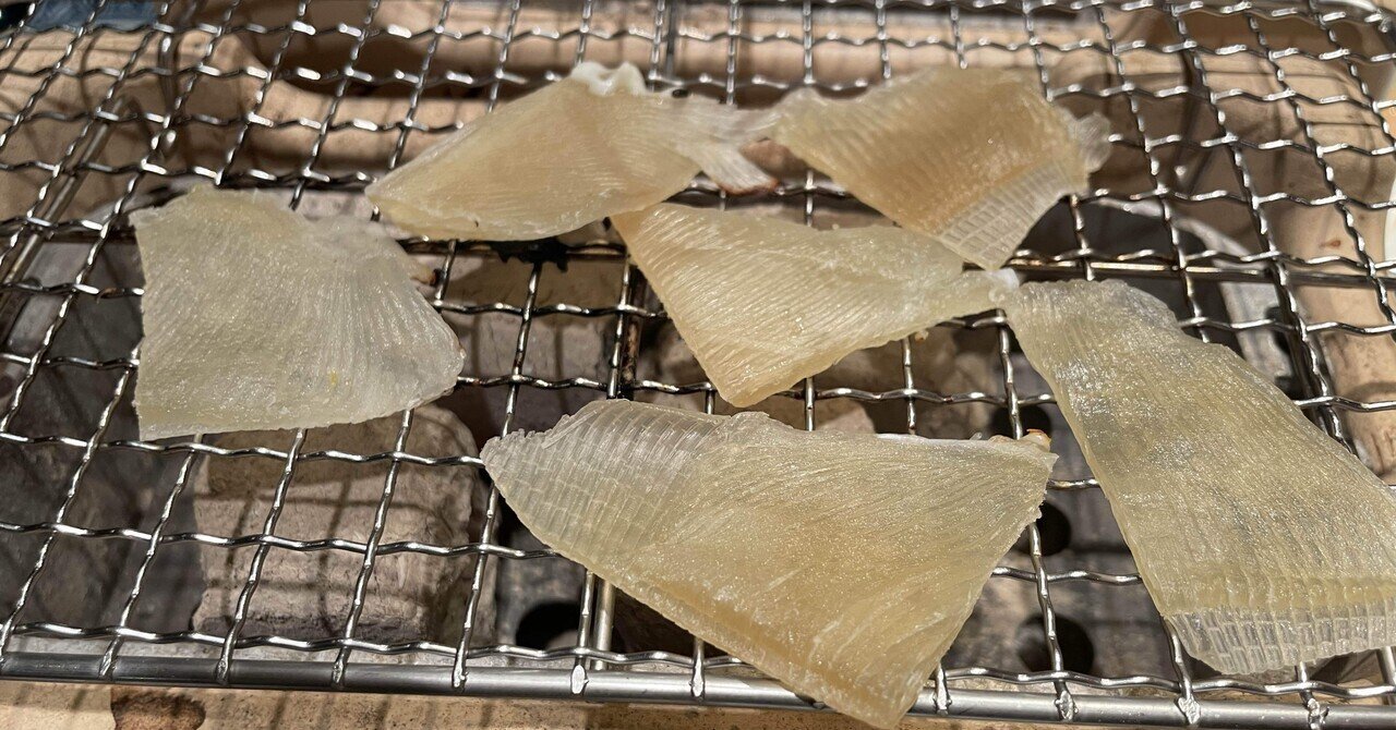 エイヒレ｜眼鏡屋