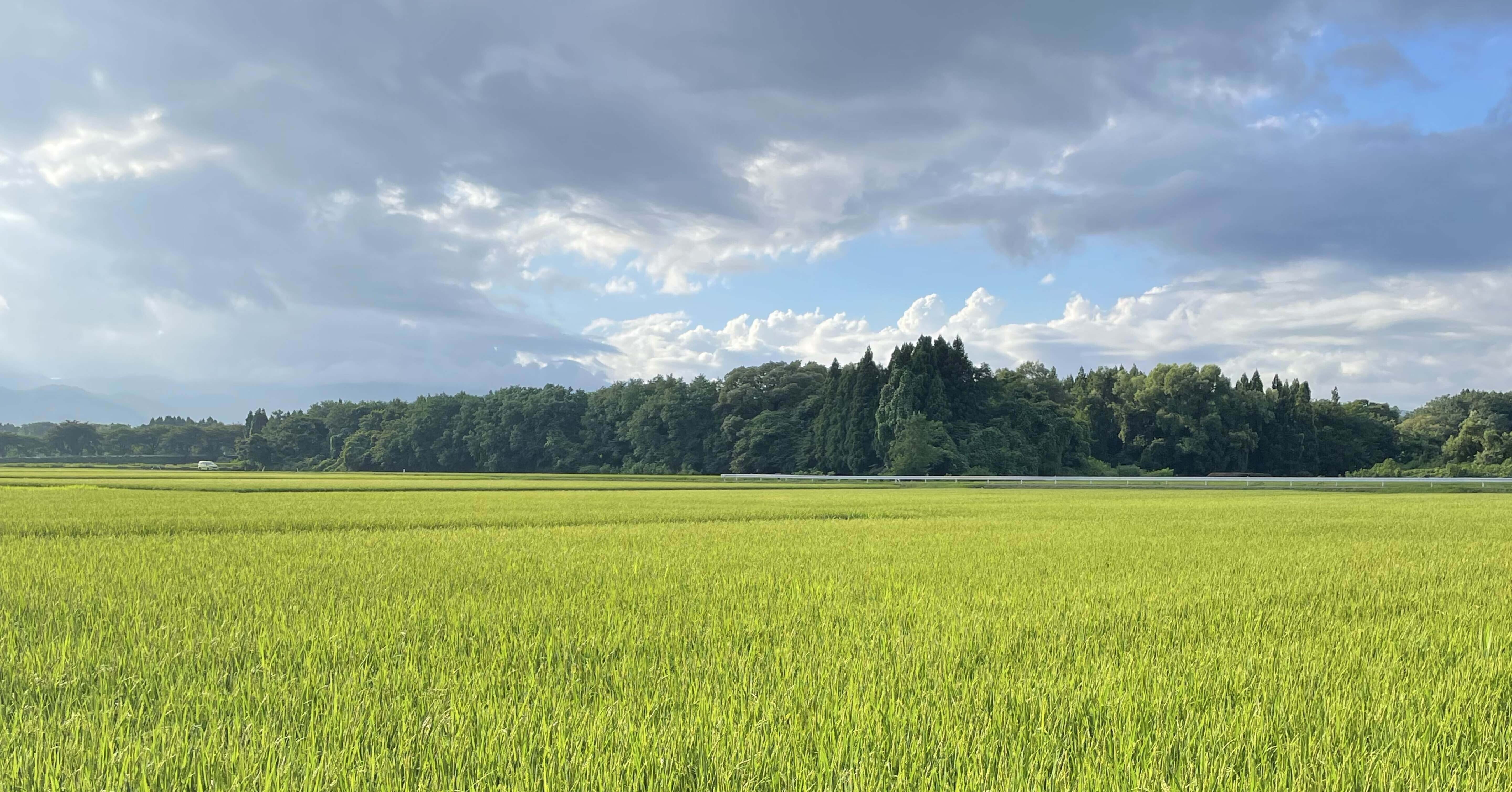 Nagi｜東京から移住を決めた人｜note