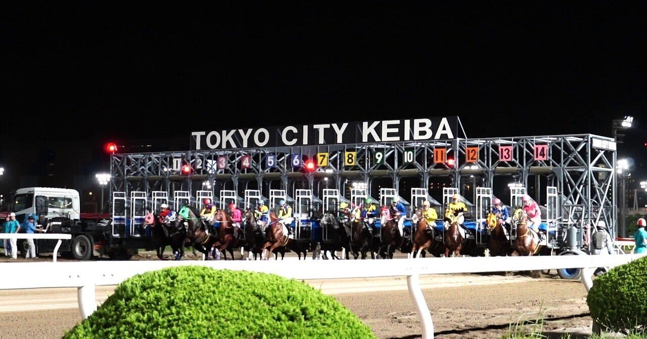 大井競馬【🔥👊🏇勝負レース🏇👊】【9r】c2(発走時刻1805)|さやだま