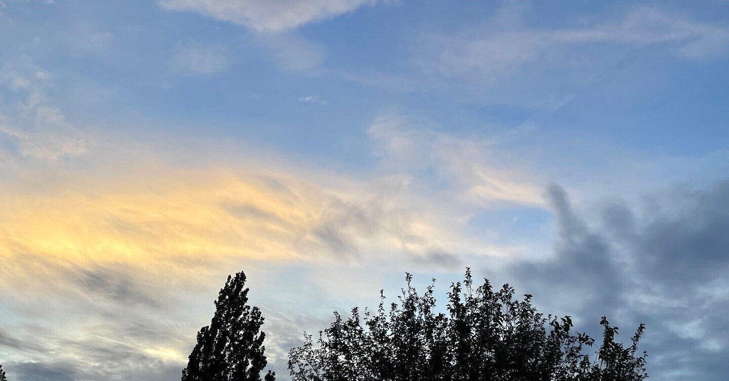 kodama_damako_Mako｜note