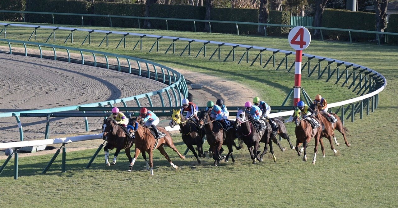 【関係者勝負馬】平場直前緊急情報113月|競馬裏の裏t