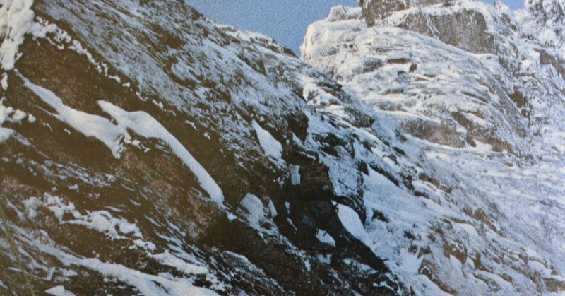 柏 澄子/Sumiko KASHIWA｜note