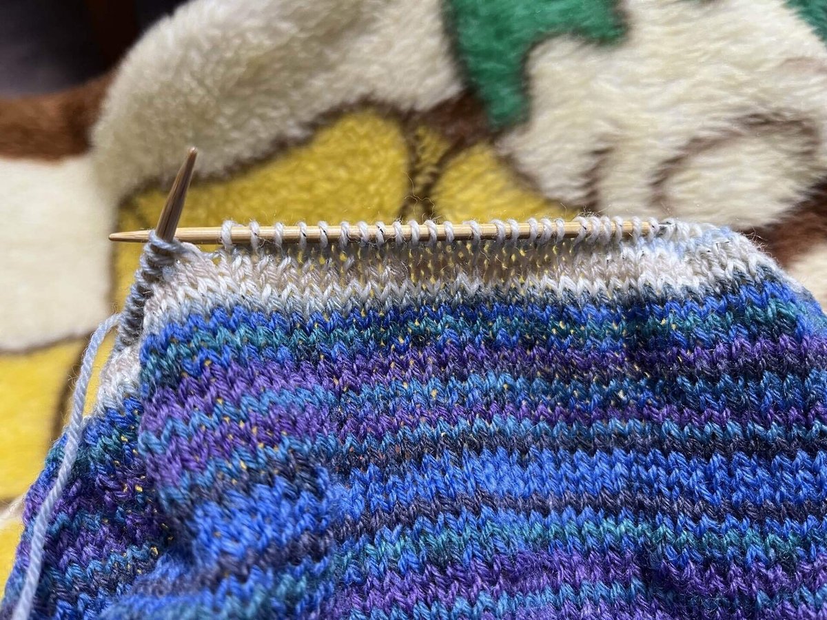 1cmで確信した｜晴（Natsuko M)