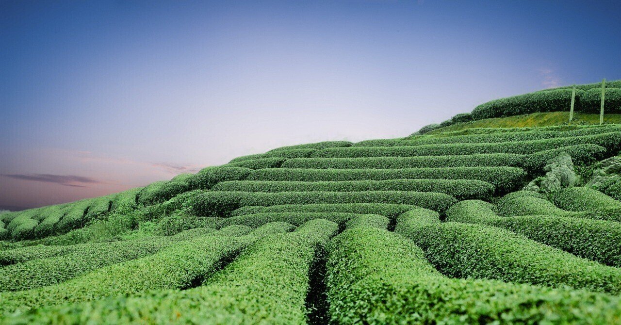 ho-ji-cha(irasutoya_album)｜note