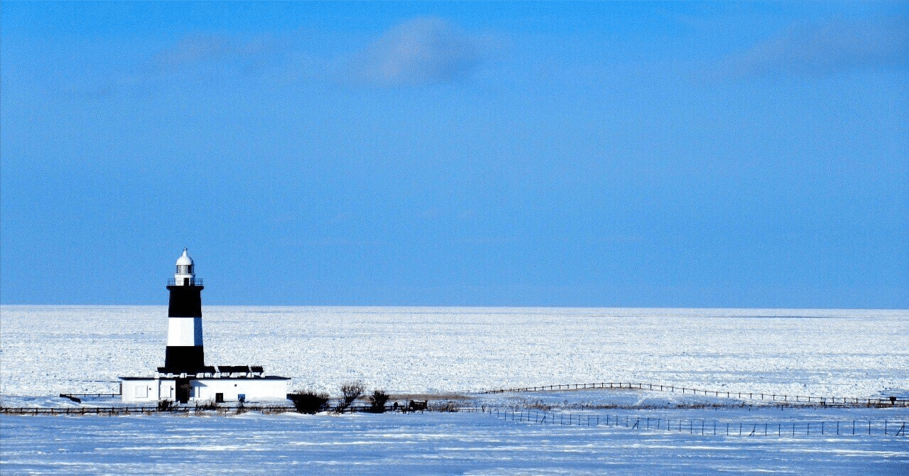 新しいカメラ。新しいエコシステム。｜komorebi_94