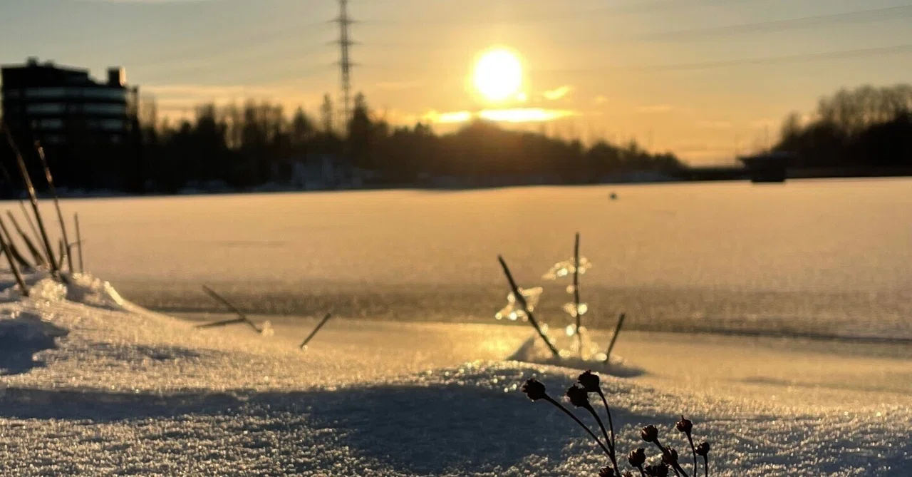 Happy New Year from Finland🇫🇮｜erika