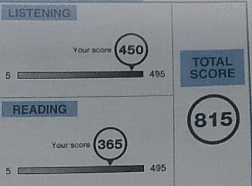 5週間でTOEIC800点取る(545→815)｜なかむら🐈🐈‍⬛