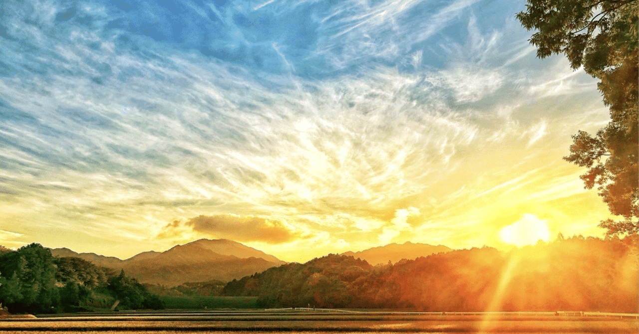 アカシックレコードには愛が満ちている｜mikan kitchen