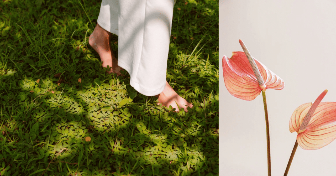 わたしは何にも、極めない。｜miyu