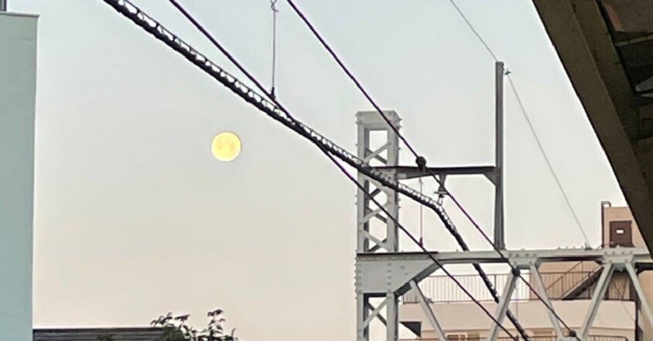 幸せが宿る場所｜putoli