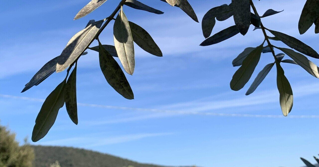 chat GPT による見解｜OTA YUKI