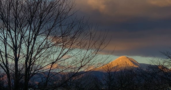 柏 澄子/Sumiko KASHIWA｜note