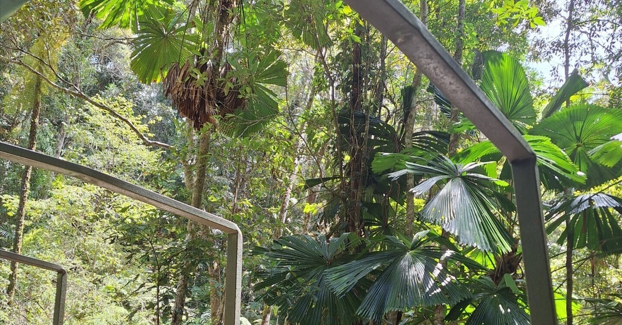 世界遺産探訪記:🇦🇺クイーンズランドの湿潤熱帯地域｜𝐊𝐄𝐍 𝐒𝐊𝐘𝐖𝐀𝐋𝐊𝐄𝐑