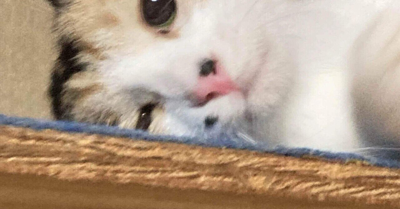 稲葉先生のお説教。｜RYOTA RAYSQUALL