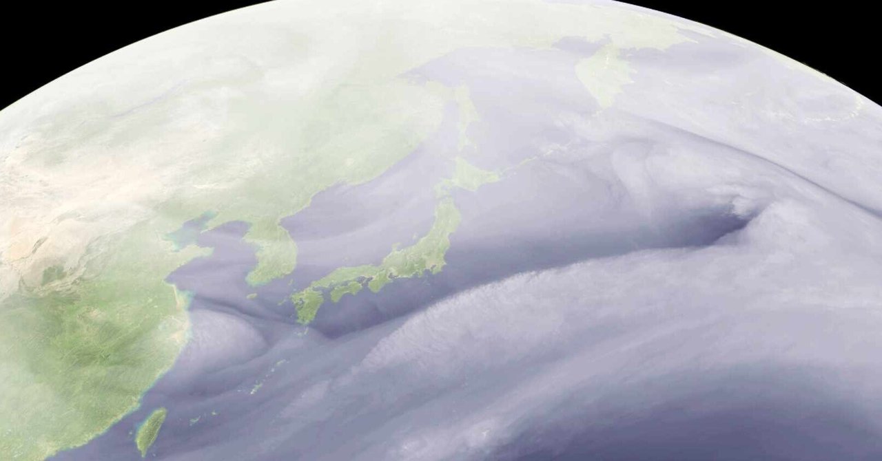 買いましたリフィルとうとう｜Shenta