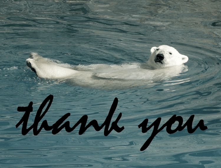 通算200スキ頂戴致しました。ありがとうございます。次章も作成中です。これからも応援よろしくお願いします🤗｜Shirokuma_TARO