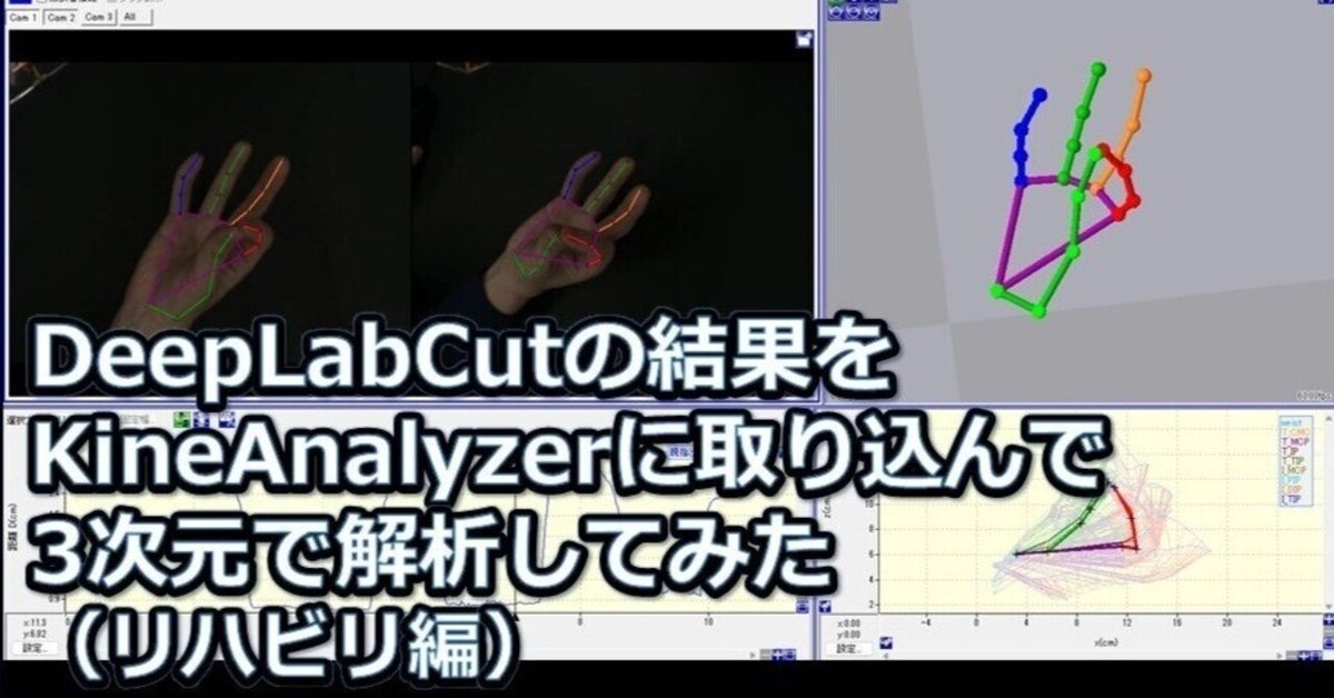 DeepLabCutの結果をKineAnalyzerに取り込んで3次元で解析してみた（リハビリ編）｜キッセイコムテック / 生体信号解析ソリューション