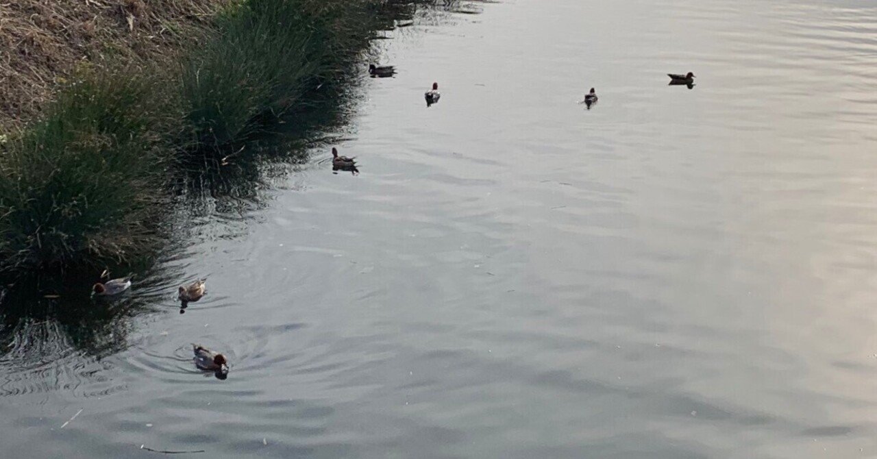 勤務医を辞めたら開業するしかないの？｜Naoko Kato