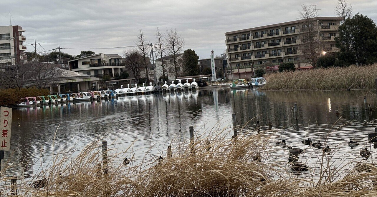 逃げてる わたし💦｜midnightsky