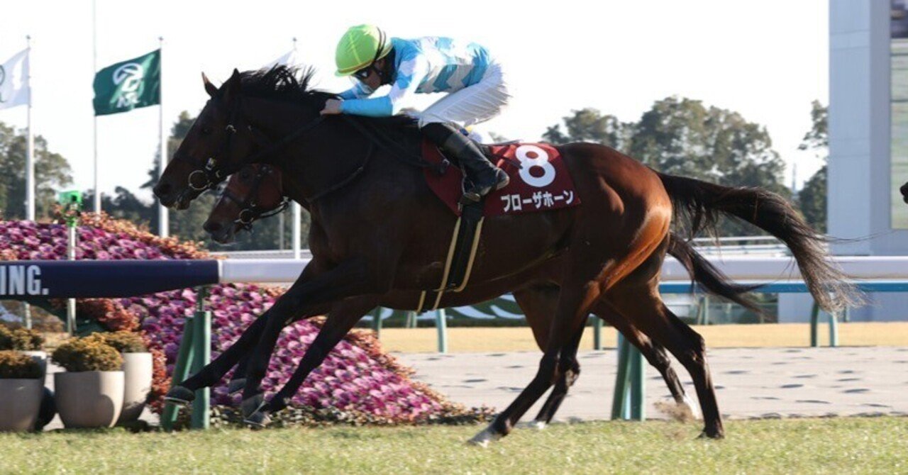 【関係者勝負馬】日経新春杯｜競馬裏の裏t