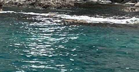 モデル・トータルビジュアルプロデューサーMANAMI｜note