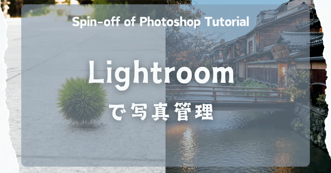 Lightroomで写真管理5 写真の読み込み2｜mitchy