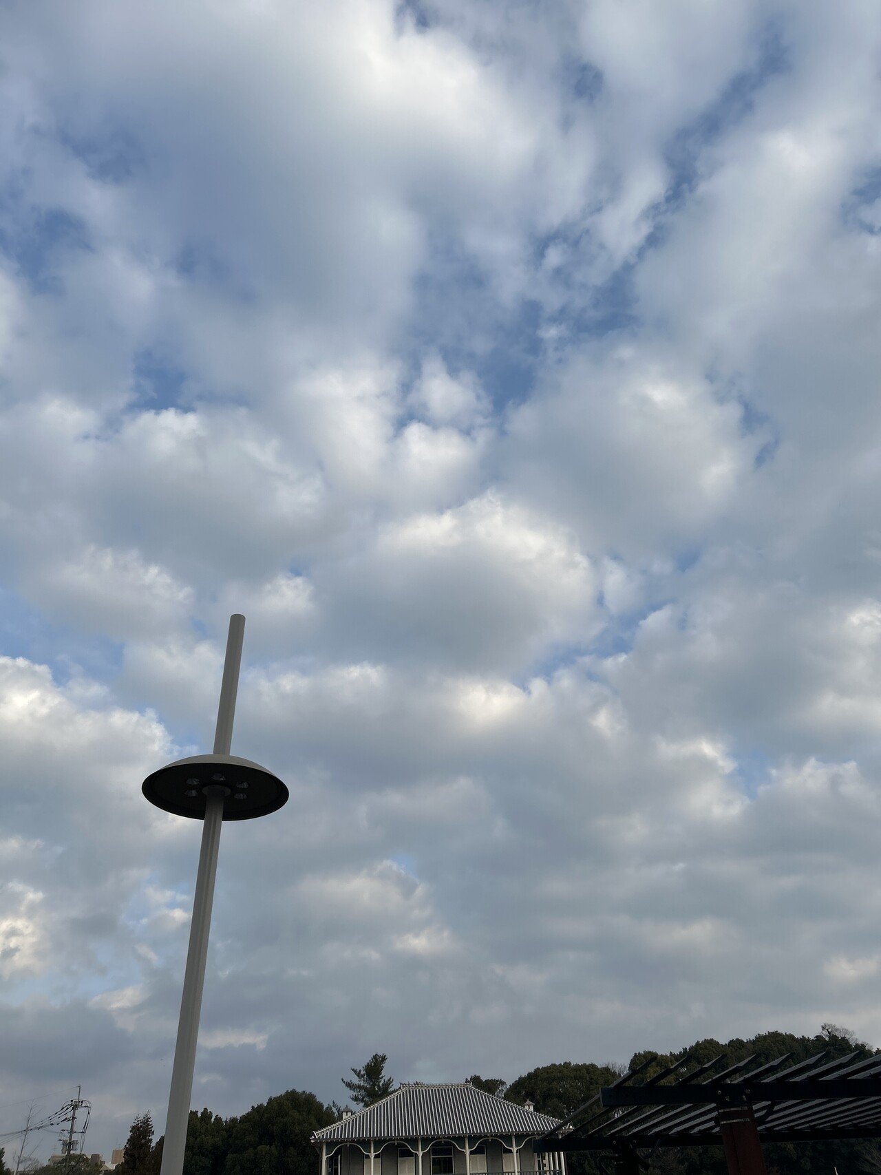 日曜日勤務の日、まだ少しひっそりしている中を、出勤するのが好き。｜asami