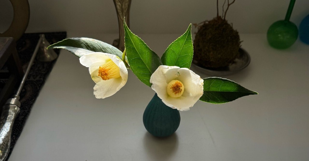 考えて選択すること｜kao-line