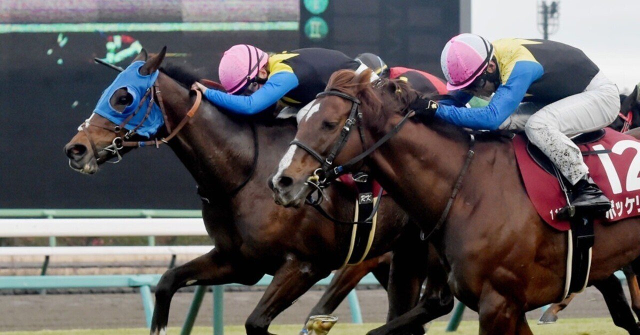 【有料レポート 競馬番組理論】アメリカジョッキーズクラブカップ 2025|マヤノタバラの競馬道 ~競馬番組解読~