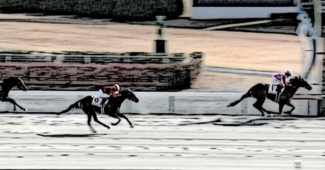 勝負r的中♫馬単、3連複万馬券的中🥰｜みゆ