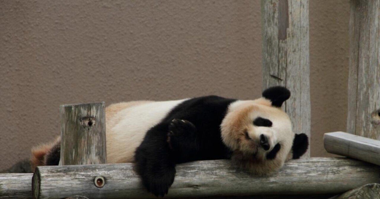 週末は不摂生｜たっくん@Team YSH (山と酒そして走る)