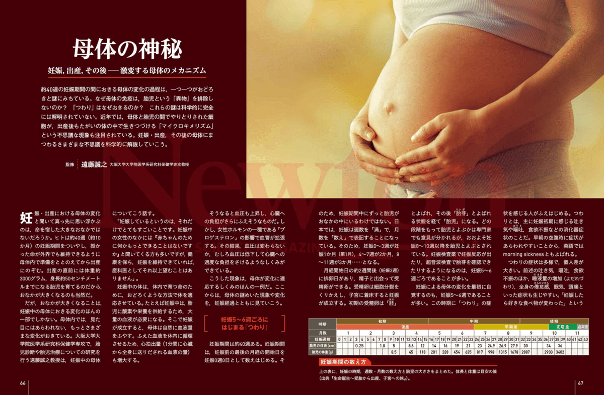 母体は分からないことだらけ｜Ryuji Misawa