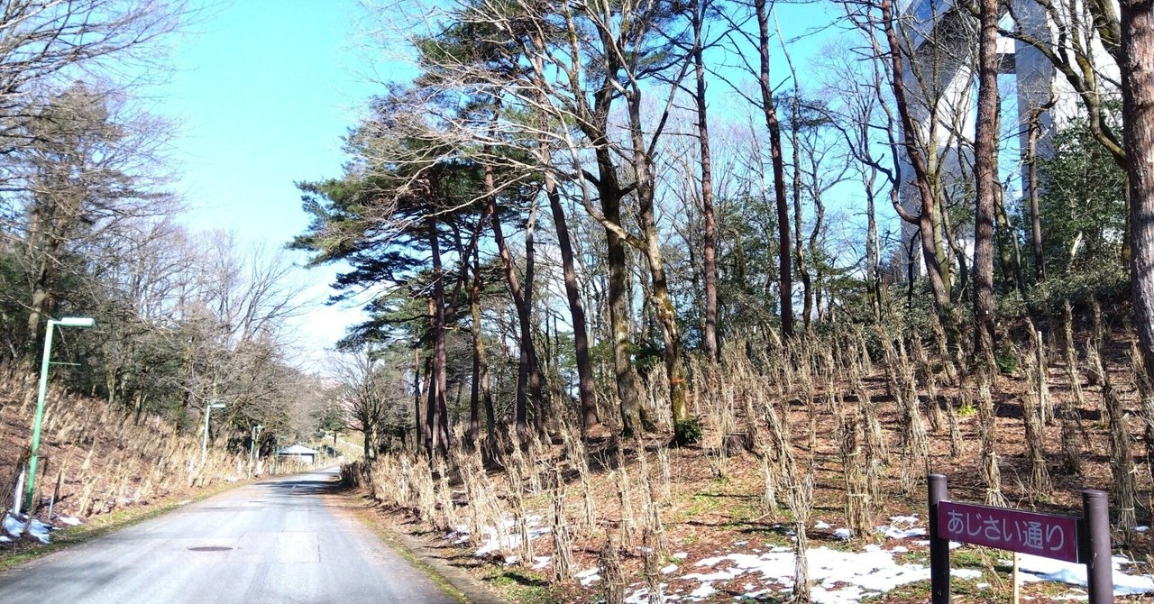 誰にもバレずにこっそり副業！ 優良企画への特別招待 大寒版｜紫陽花のそばの部屋人