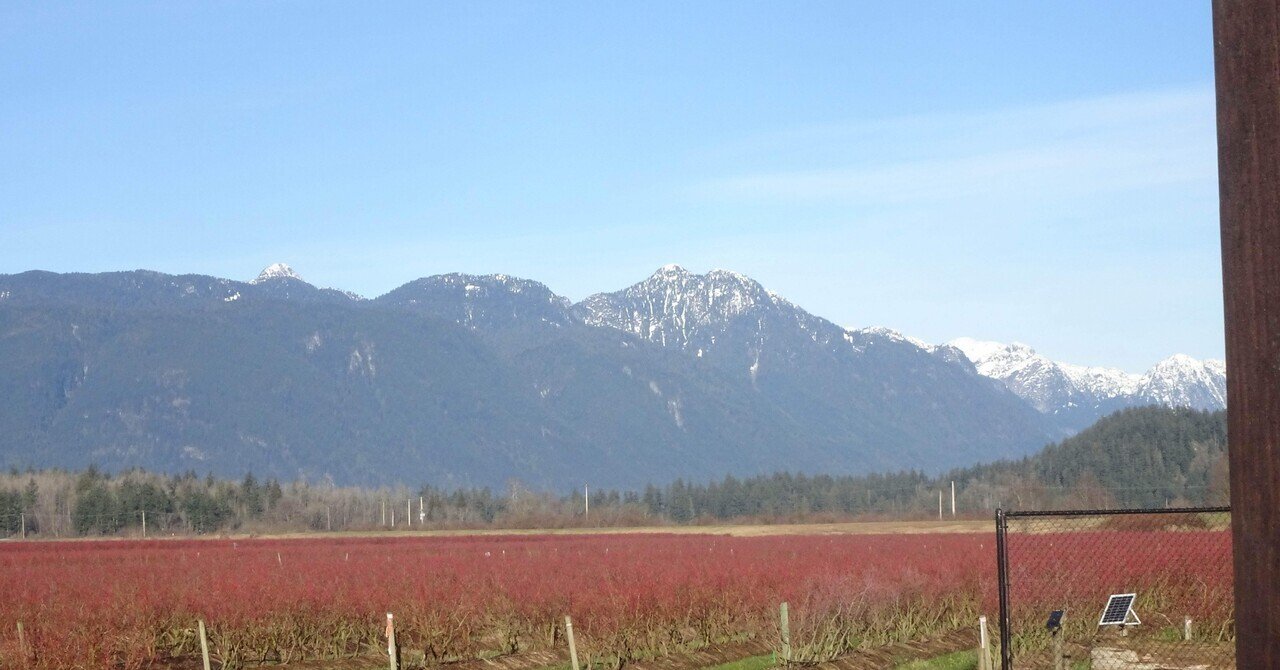 トランプに"51番目の州"と言われたカナダに行ってみた【世界一周する慶應生9日目】｜Tatsuki Inoue