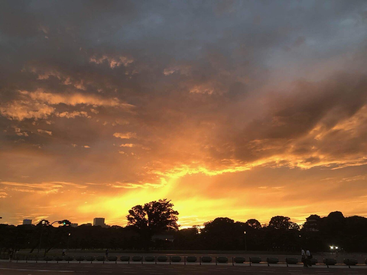 幻想的｜WMSの気まぐれnote