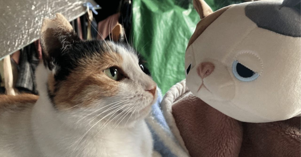 猫、大好き！忠猫ミケの話｜Moosan