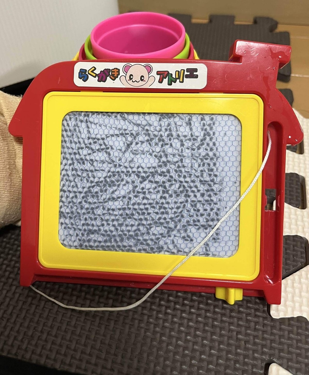 ひとりの人間としての私 | 日記 (250120 〜 250126)｜環